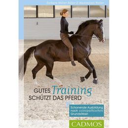 Gutes Training sch&uuml;tzt das Pferd