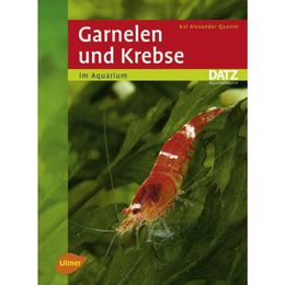 Garnelen und Krebse im Aquarium