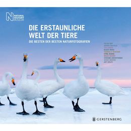 GERSTENBERG Die erstaunliche Welt der Tiere