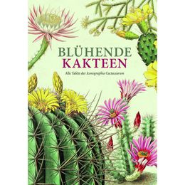 Bl&uuml;hende Kakteen