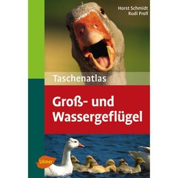 Taschenatlas Gro&szlig;- und Wassergefl&uuml;gel