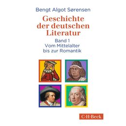 Geschichte der deutschen Literatur Bd. I: Vom Mittelalter bis zur Romantik