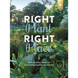 Right Plant - Right Place