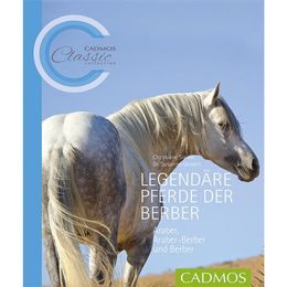 Legend&auml;re Pferde der Berber