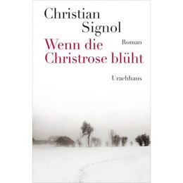 Wenn die Christrose bl&uuml;ht