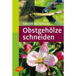 Obstgeh&ouml;lze schneiden