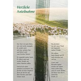 Herzliche Anteilnahme