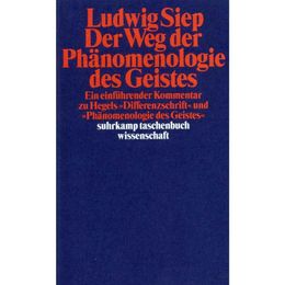 Der Weg der ' Ph&auml;nomenologie des Geistes'