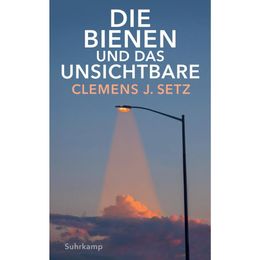 Die Bienen und das Unsichtbare