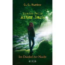 Shadow Falls - After Dark 03. Im Dunkel der Nacht