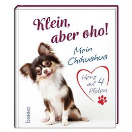 Klein, aber oho!