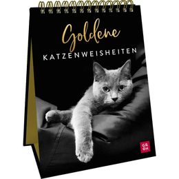 Goldene Katzenweisheiten