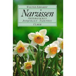 Narzissen