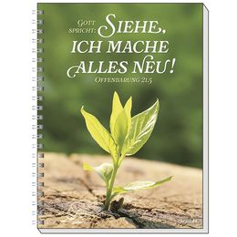 Gott spricht: Siehe, ich mache alles neu!