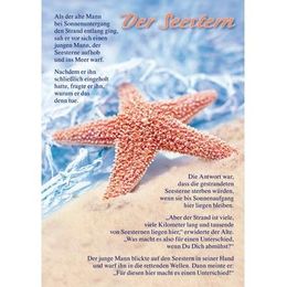 Seestern