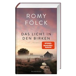 Das Licht in den Birken