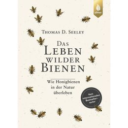 Das Leben wilder Bienen