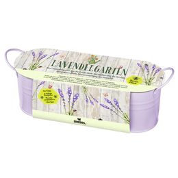 Anzuchtset &raquo;Lavendelgarten&laquo;