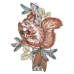 Fensterbild &raquo;Eichh&ouml;rnchen&laquo;