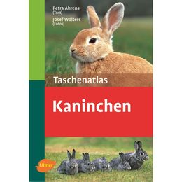 Taschenatlas Kaninchen