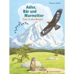 GERSTENBERG Adler, B&auml;r und Murmeltier
