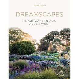 Dreamscapes