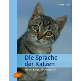 Die Sprache der Katzen