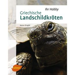 Griechische Landschildkr&ouml;ten