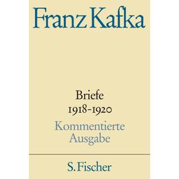 Briefe 1918-1920