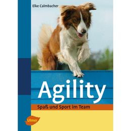 Agility