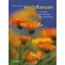 Heilpflanzen
