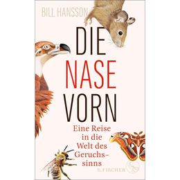 Die Nase vorn