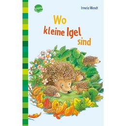 Wo kleine Igel sind