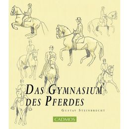 Das Gymnasium des Pferdes
