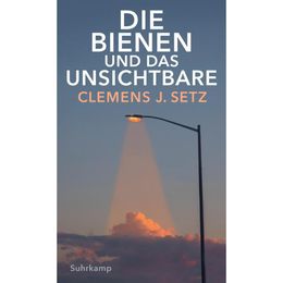 Die Bienen und das Unsichtbare
