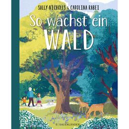 So w&auml;chst ein Wald