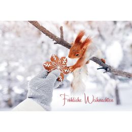 Weihnachtskarte - Fr&ouml;hliche Weihnachten (6 St&uuml;ck)