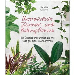 Unverw&uuml;stliche Zimmer- und Balkonpflanzen