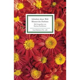 &raquo;Sch&ouml;nheit dieser Welt&laquo;. Blumen des Herbstes