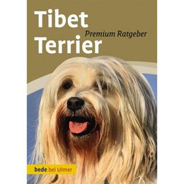 Tibet Terrier