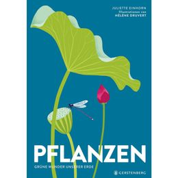 GERSTENBERG Pflanzen