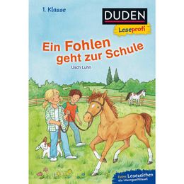 Duden Leseprofi - Ein Fohlen geht zur Schule