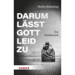 Darum l&auml;sst Gott Leid zu