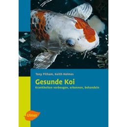 Gesunde Koi