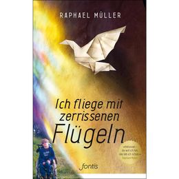 Ich fliege mit zerrissenen Fl&uuml;geln