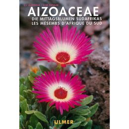 Aizoaceae