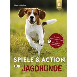 Spiele und Action f&uuml;r Jagdhunde