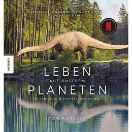 Leben auf unserem Planeten
