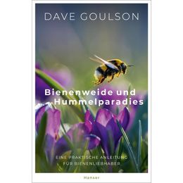 Bienenweide und Hummelparadies