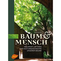 Baum und Mensch